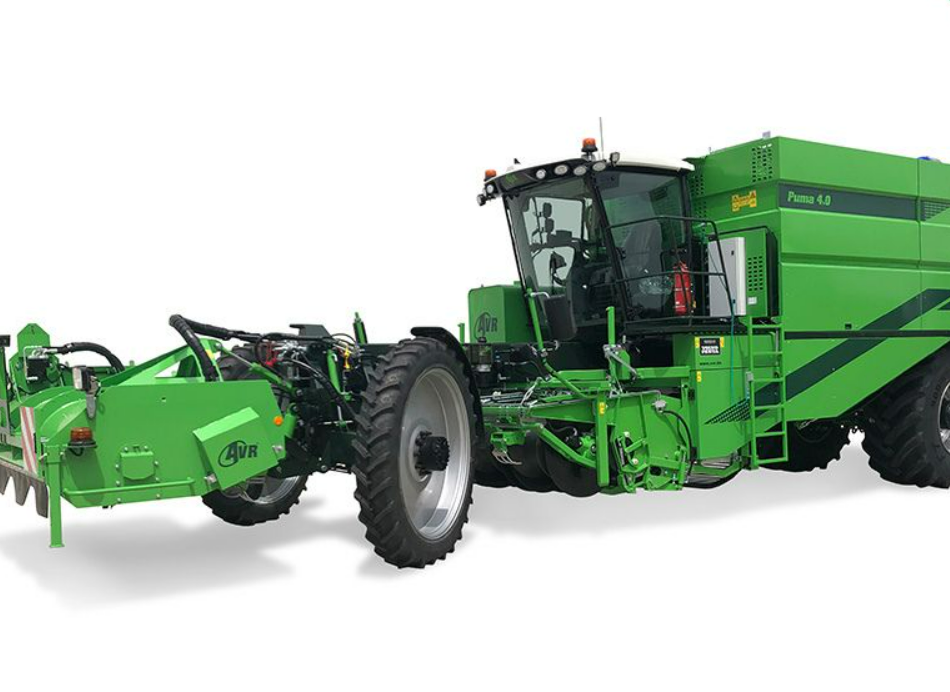 Industry Updates - British Potato