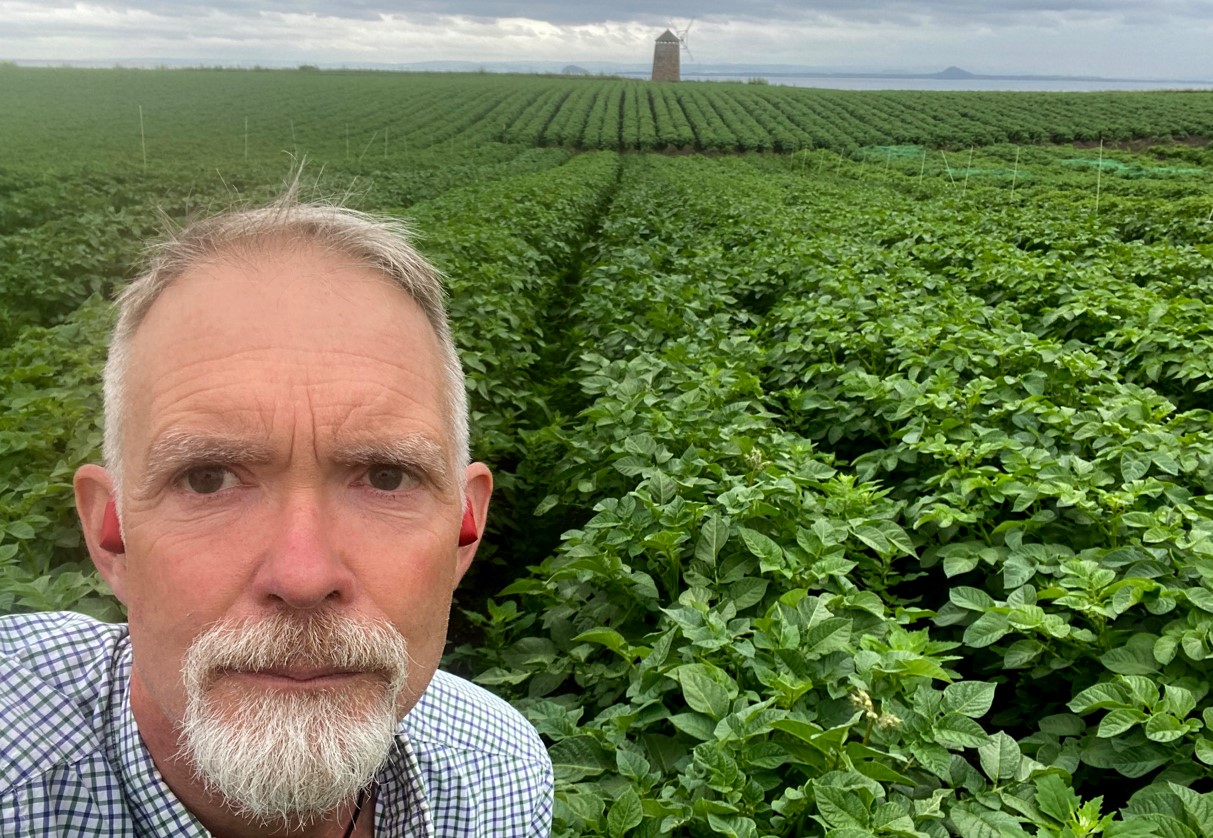 METRIBUZIN POTATO PRE-EM TREATMENT CONFIRMED SAFE - British Potato