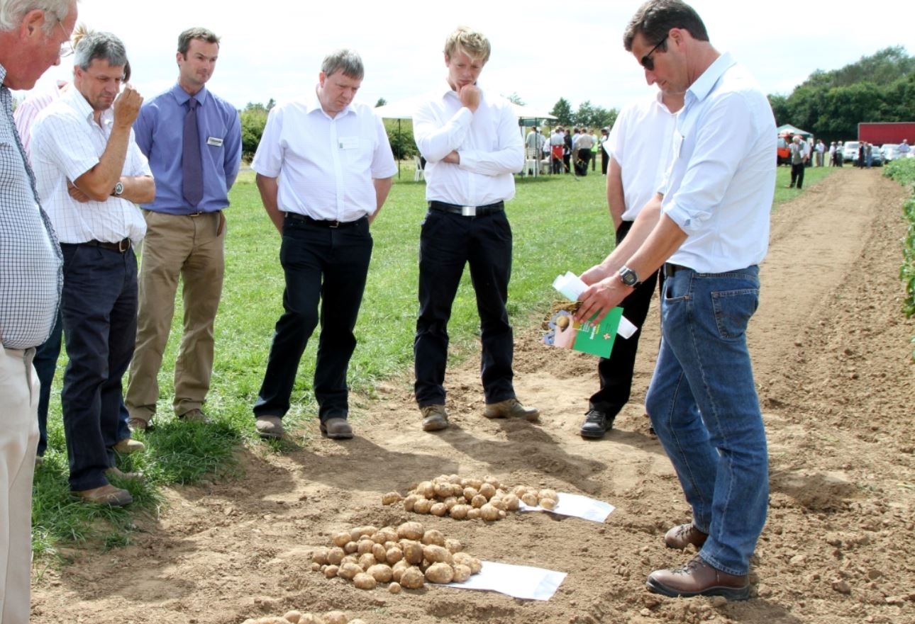 2019 Award Winners - British Potato