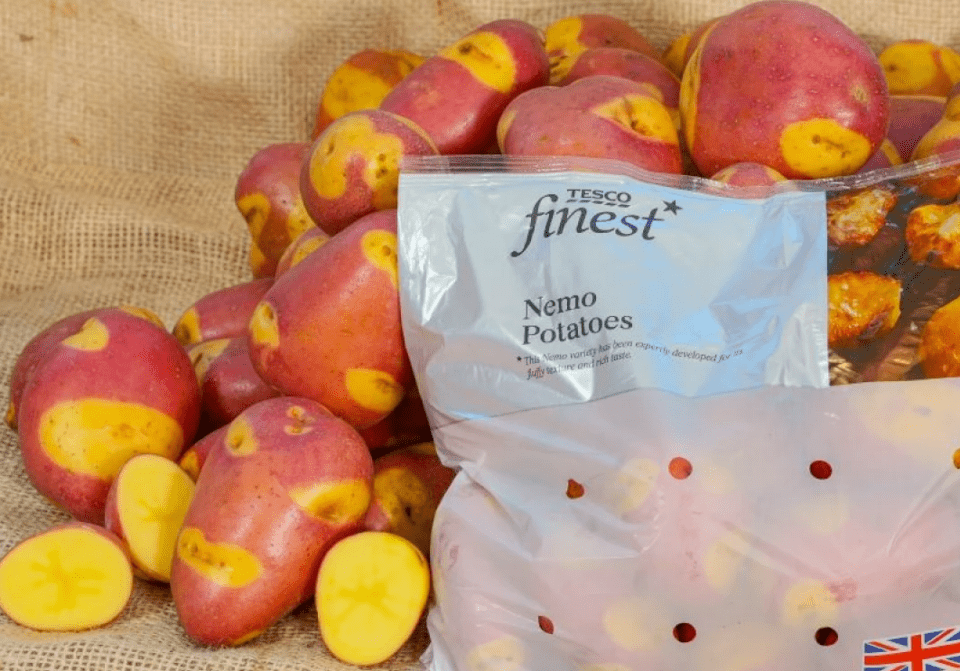 FINDING NEMO: HOW HYBRID POTATO IS GROWING IN POPULARITY - British Potato