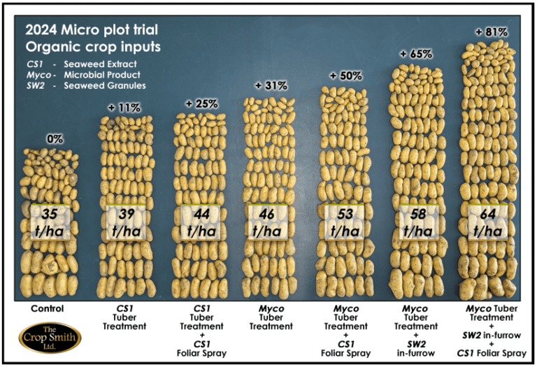 THE POWER OF STACKING: NEW APPROACH FOR IMPROVING POTATO CROPS ...